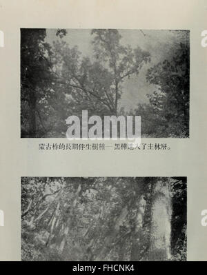 Da xing an ling sen lin zi yuan diao cha bao gao (1954-1955), a Chinese ...