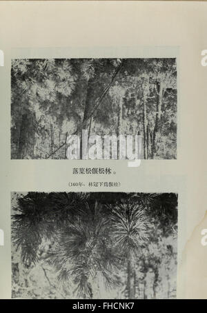 A Chinese report from 1954-1955 on the investigation of the large Xing ...