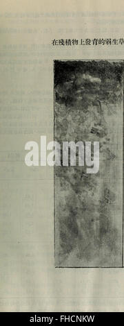 *Da Xing An Ling Sen Lin Zi Yuan Diao Cha Bao Gao* (1954-1955) is a ...