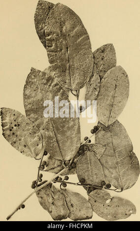 A collection of academic papers and reports published in 1895, covering ...
