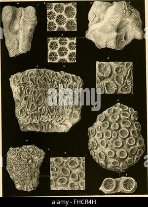The *Denkschriften* (1864) of the Imperial Academy of Sciences includes ...