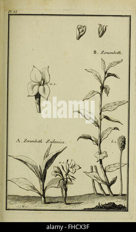 A French work describing the virtues and uses of 719 plant species ...