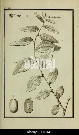 A French work describing the virtues and uses of 719 plant species ...