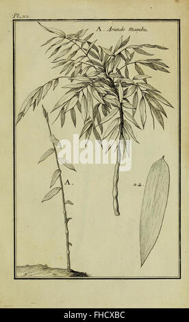 vertus et usages de sept cents dix-neuf plantes Stock Photo - Alamy