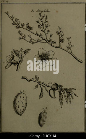 Description, vertus et usages de sept cents dix-neuf plantes, France ...