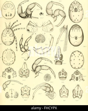 A 1897 work documenting the Hydrachnidia (water mites) of Germany ...