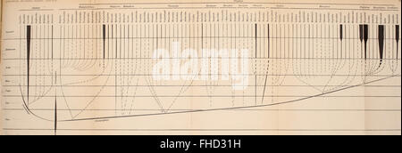 Fossil insects, insect evolution, 1908, entomology, phylogeny ...
