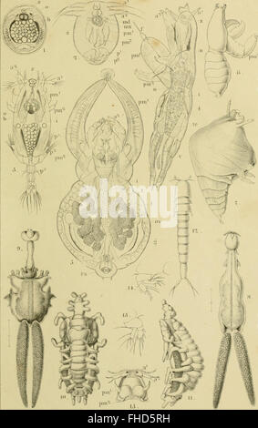This 1866 work scientifically describes the classes and orders of ...