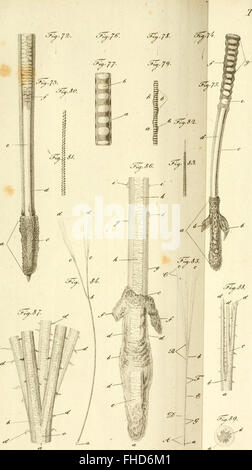 A 1831 work on the study of hair in all living organisms, examining its ...