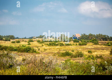 typical Hiddensee heath landscape with blue cottage Stock Photo - Alamy