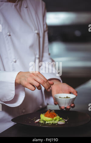 Chef sprinkling seasoning on food at counter in commercial kitchen ...