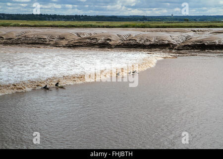 Petitcodiac River in Moncton New Brunswick Canada Stock Photo - Alamy
