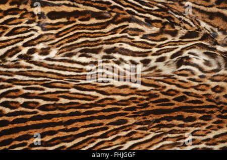 fur coat of ocelot Stock Photo - Alamy