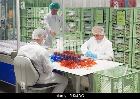 Radeberg, Germany. 26th Feb, 2016. A production assistant in a ...