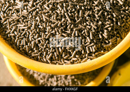 food aliment bovine farm cattle ranch feeding heard eating eat eats ...