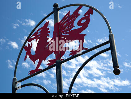 The national emblem symbol of Wales the daffodil Stock Photo - Alamy