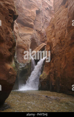 East of the Jordan and Dead Sea, Waterfall of the Arnon 1900, Jordan ...