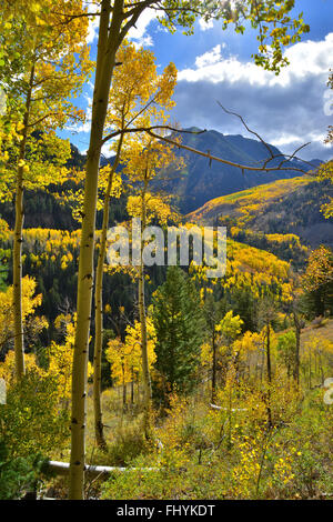 Fall color comes to Colorado along HWY 145 south of Telluride, Colorado ...
