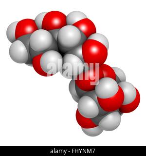 Isomalt sugar substitute molecule (one of two components shown ...