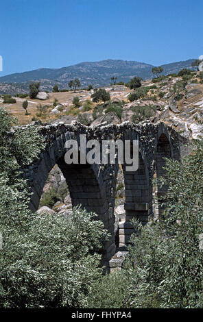 An aged stone bridge with an arch stands amidst overgrown greenery ...