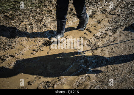 Lancaster, Pennsylvania, US. 27th Feb, 2016. Amish Mud Sale, held every ...