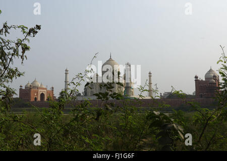 This is the back of the Taj Mahal from the opposite side of the Yamuna ...