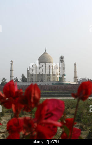 This is the back of the Taj Mahal from the opposite side of the Yamuna ...