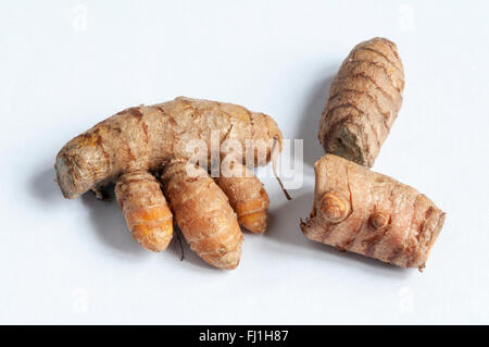 Turmeric (Curcuma longa), turmeric, turmeric Stock Photo - Alamy