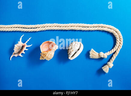 Rope with various sea shells Stock Photo - Alamy