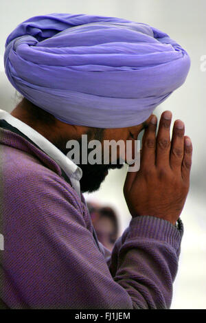 Sikh man praying at the lake at Golden Temple in Amritsar, India. Main ...