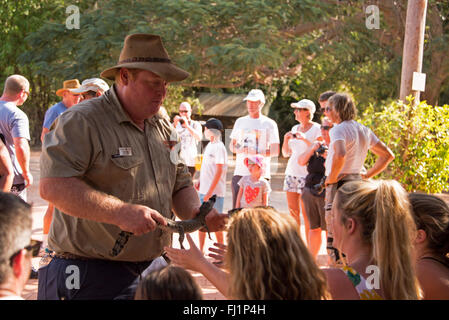 Zoo Keeper at the Malcolm Douglas Crocodile Park (Wildlife Park ...