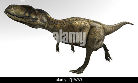 Abelisaurus is a genus of predatory abelisaurid theropod dinosaur alive ...