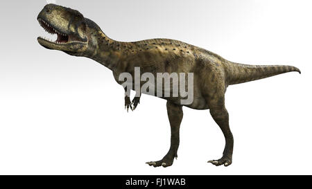 Abelisaurus is a genus of predatory abelisaurid theropod dinosaur alive ...