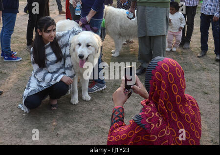 Pakistani People with their pets participating in Dog Show "Royal ...