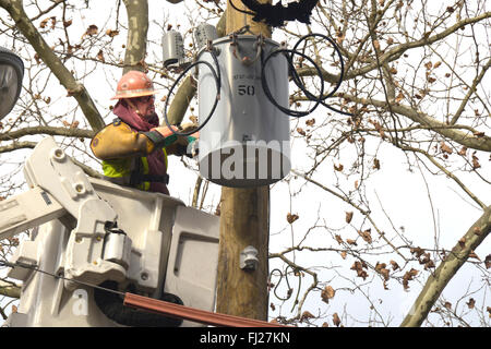 Electrical transformer on a Utility pole USA Stock Photo - Alamy