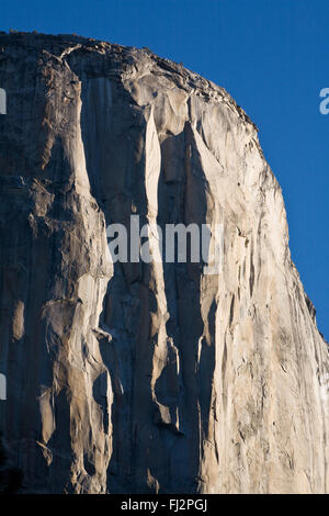 The face of EL CAPITAN at sunrise YOSEMITE NATIONAL PARK CALIFORNIA ...