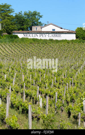 Château Moulin Pey-Labrie vinyard, Canon-Fronsac region, Bordeaux ...