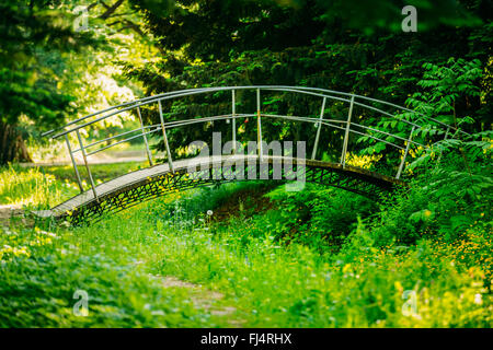 Small wood bridge in a garden with reflection Stock Photo - Alamy