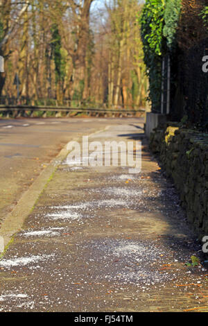 Salt on an icy sidewalk Stock Photo - Alamy