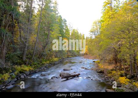 Mersed River, Yosemite National Park, California Stock Photo - Alamy
