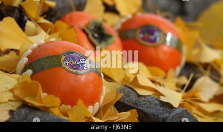 Fresh Korean persimmons at a fruit farm in Gurye County, Jeollaman-do ...