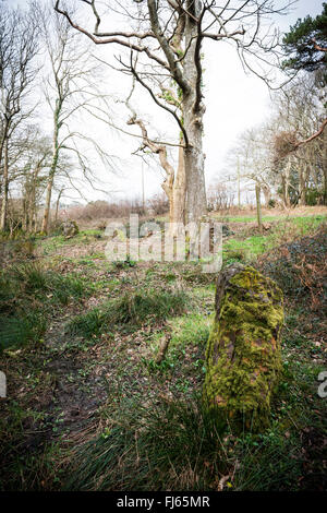 Rempstone Stone Circle, near Corfe Castle, Isle of Purbeck, Dorset ...