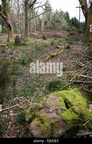 Rempstone Stone Circle, near Corfe Castle, Isle of Purbeck, Dorset ...