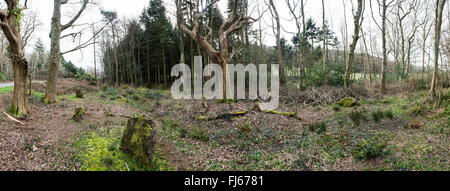 Rempstone Bronze Age ruined stone circle near Corfe Castle on the Isle ...