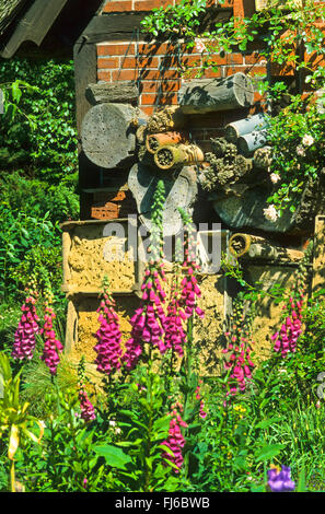 A insect in a plant Stock Photo - Alamy