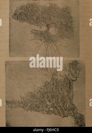 . di zhi wu xue fa zai di zhi he shui wen di zhi diao cha zhong de ying ...