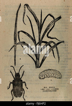 . dong bei nong zuo wu bing chong hai fang zhi gong zuo shou ce. botany ...