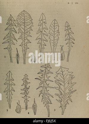 A 1959 botanical index of plant species from Northeast China, serving ...