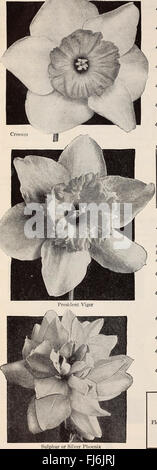 Dreer quality seeds plants bulbs Stock Photo - Alamy