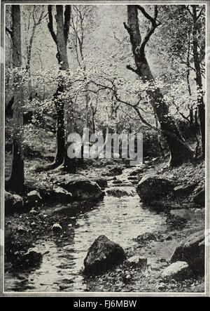 'Every Life a Delight' (1914) is a literary work that explores the ...